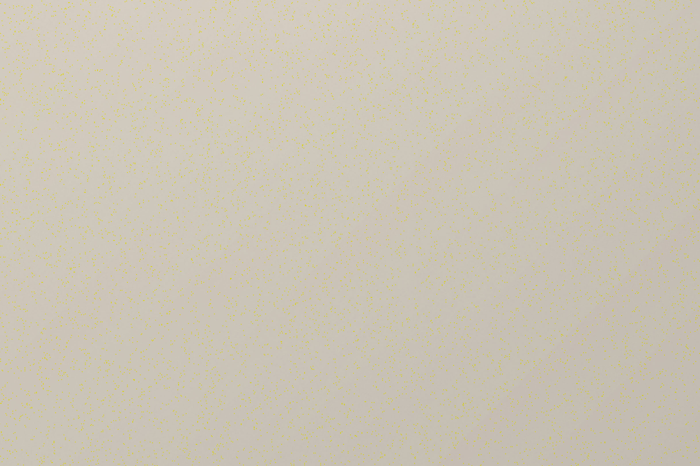Champagne Silver-Standard-Panel Master